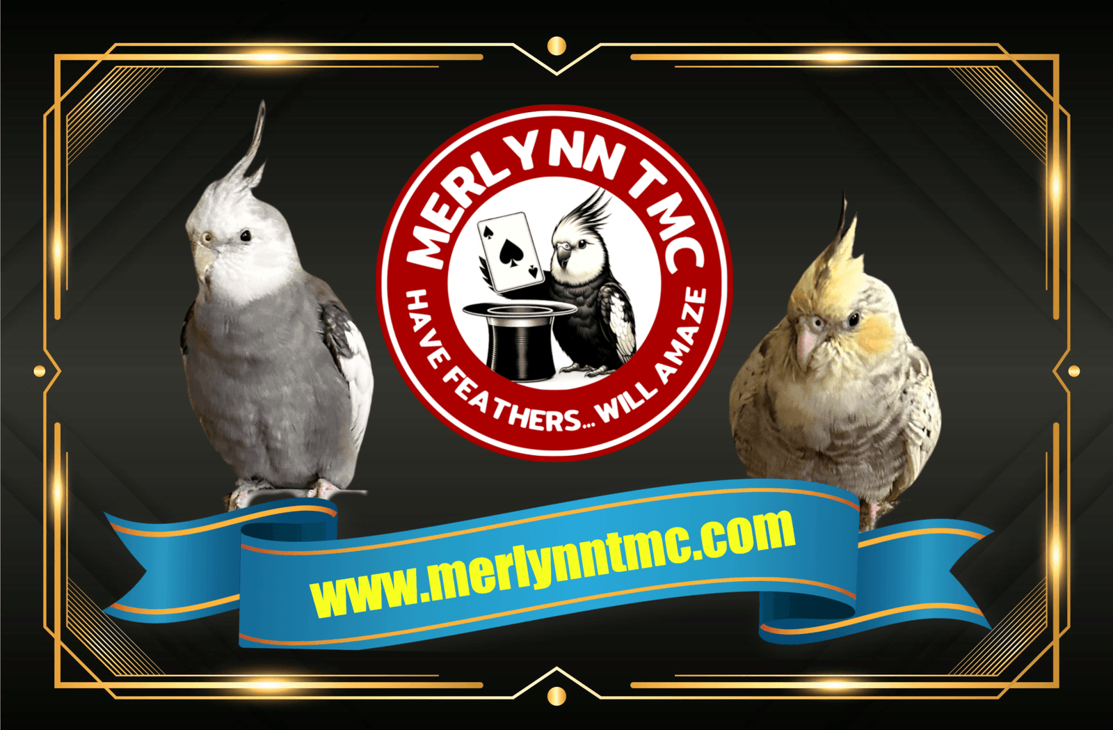 Welcoming Merlynn 2.0: The Next Star in Leigh Hotz’s Magic Shows ...